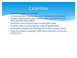 Paleobotany for B.Sc III(Botany-Semester III) As per the syllabus of S ...
