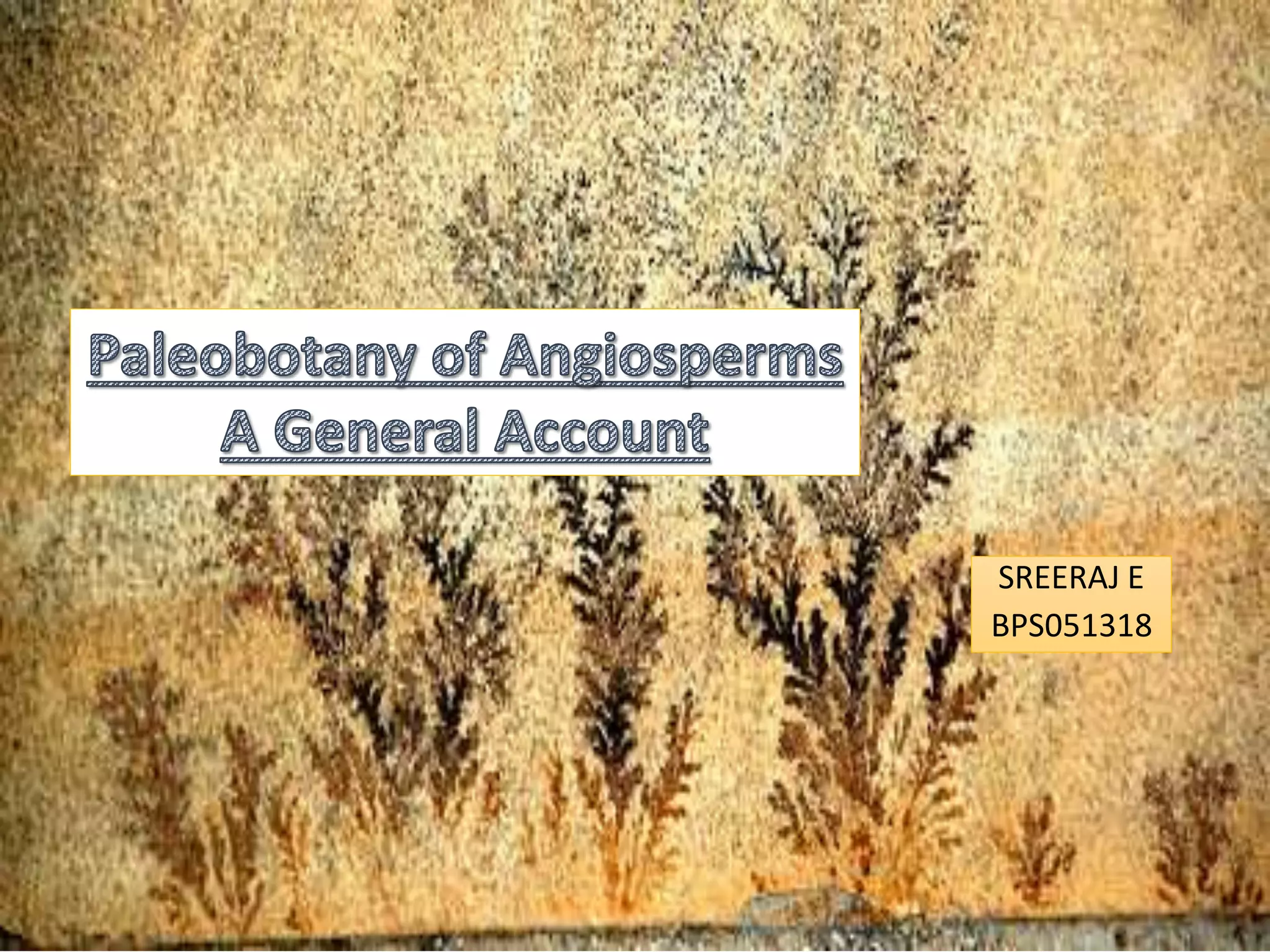 Paleobotany of angiosperms | PPTX