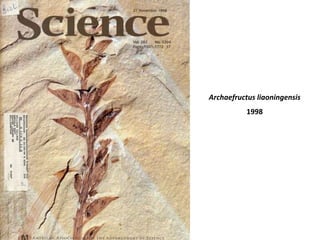 Paleobotany of angiosperms | PPTX