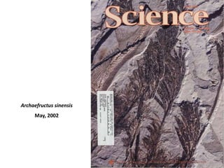 Paleobotany of angiosperms | PPTX