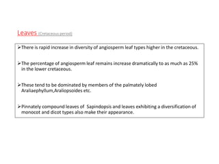 Paleobotany of angiosperms | PPTX