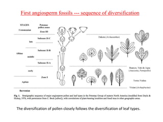 Paleobotany of angiosperms | PPTX