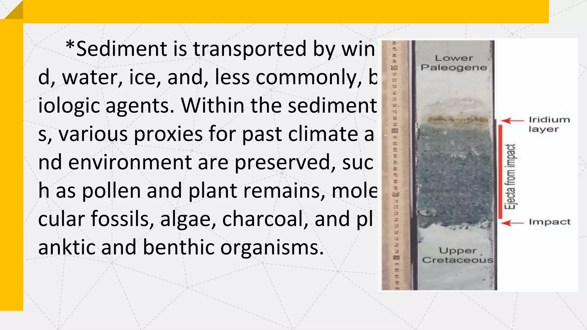 Paleoclimatic and paleoenvironmental | PPTX