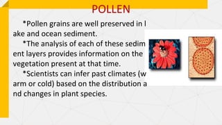 Paleoclimatic and paleoenvironmental | PPTX