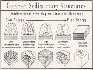 Paleocurrent analysis | PDF