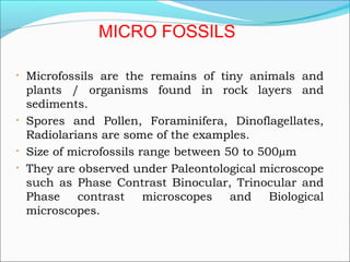 Paleoecology | PPT