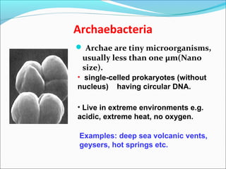 Paleoecology | PPT | Biological Sciences | Science