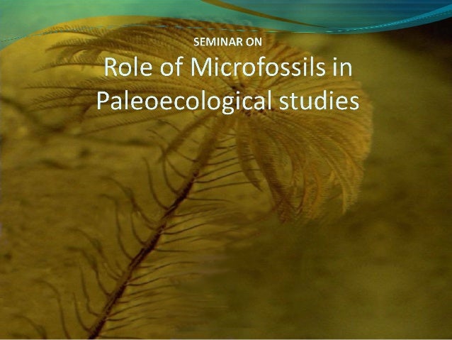 Paleoecology