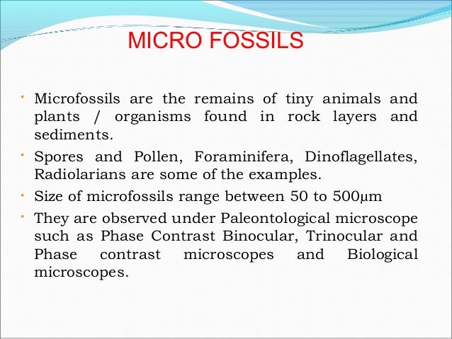 Paleoecology
