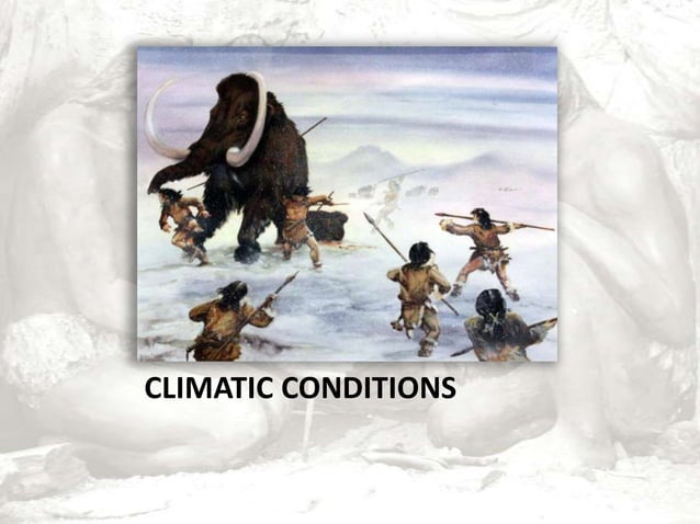 Paleolithic age | PPTX | Geology | Science