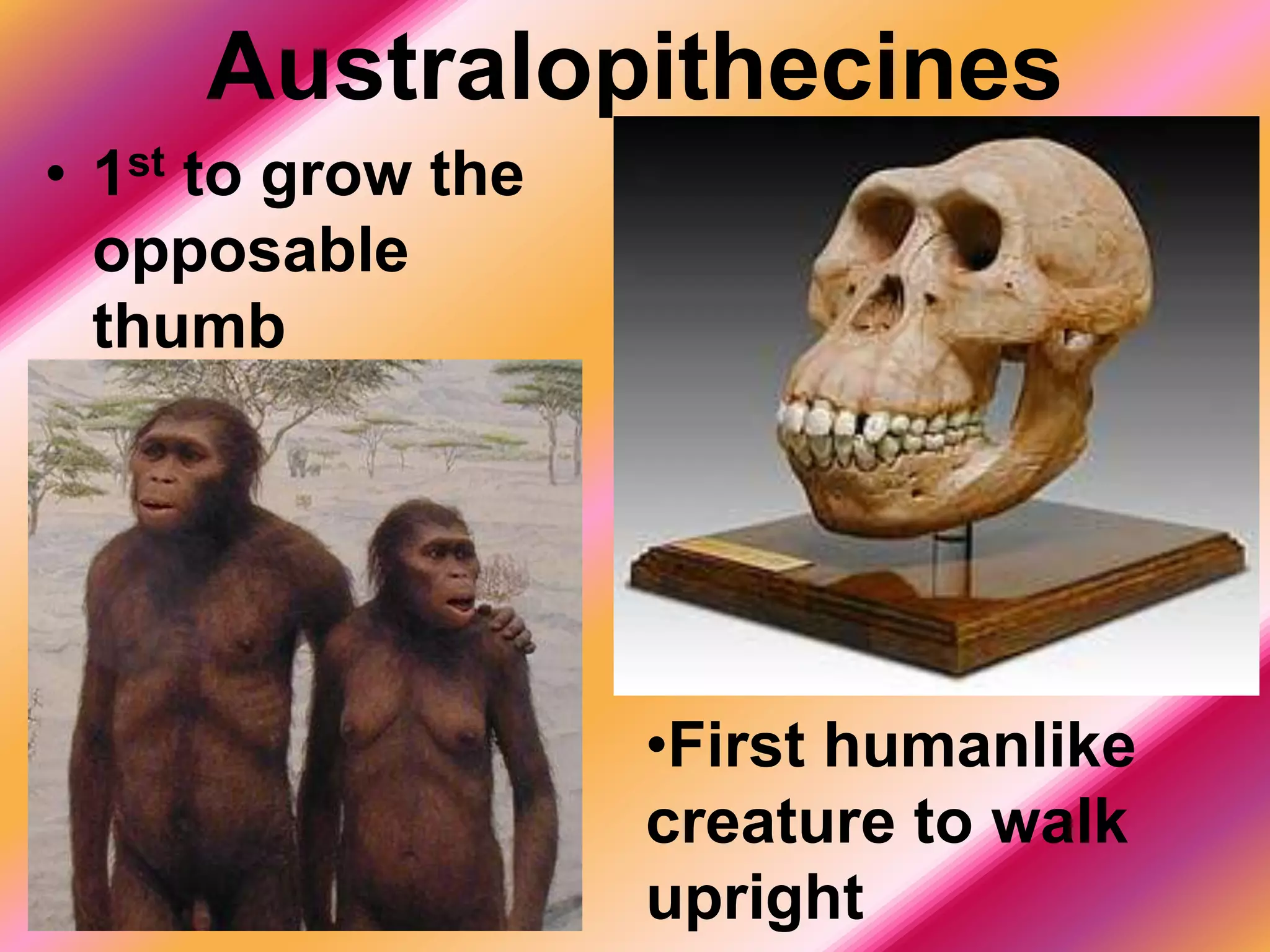 Paleolithic Era to Agricultural Revolution PPT.ppt