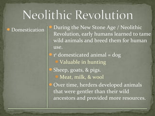 Paleolithic Era vs Neolithic Revolution | PPT