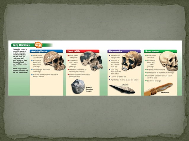 Paleolithic Era vs Neolithic Revolution | PPT