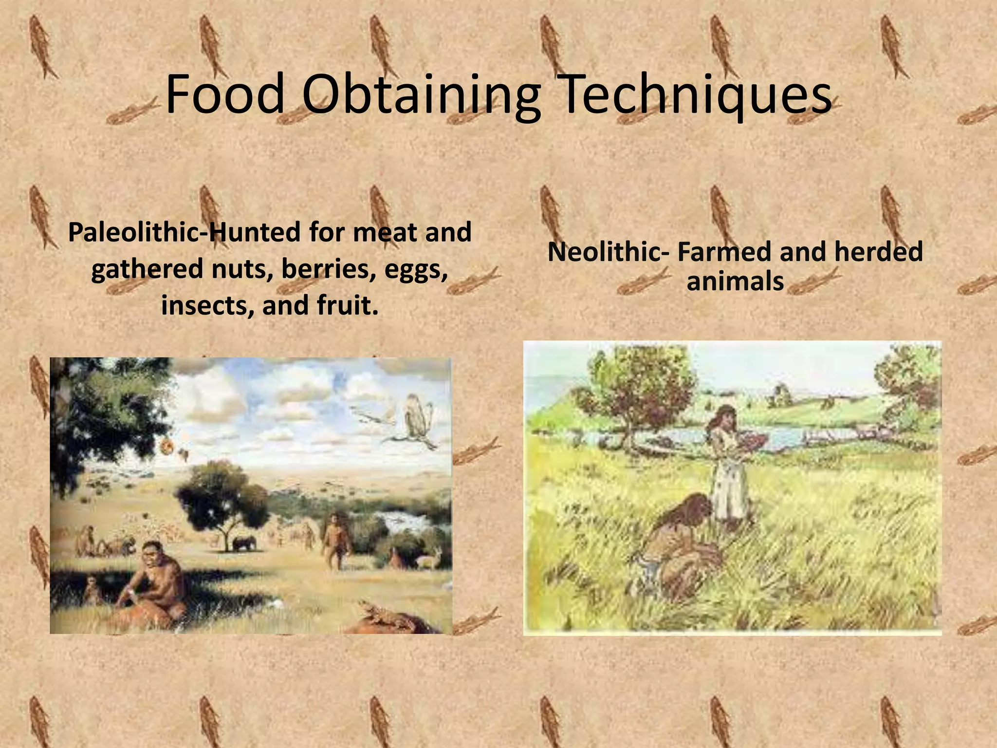 Paleolithic & neolithic | PPTX