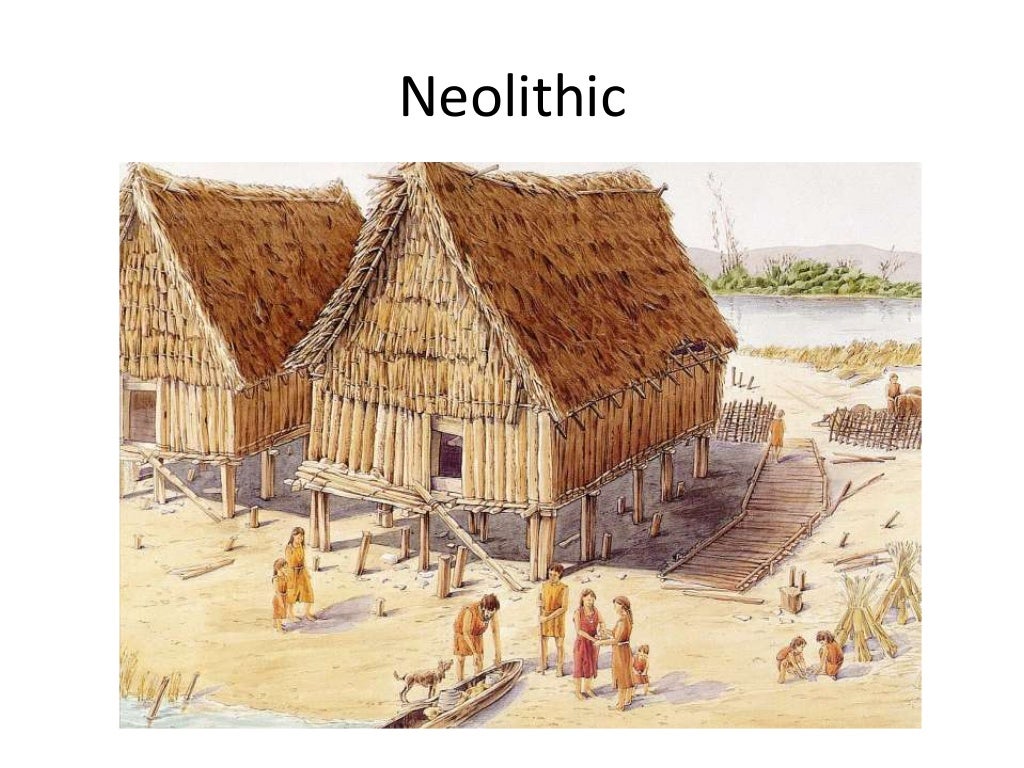 Paleolithic neolithic