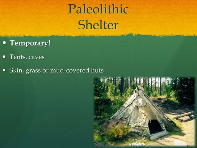 UCS&P: Paleolithic vs Neolithic | PPTX