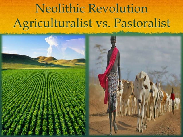 UCS&P: Paleolithic vs Neolithic | PPTX