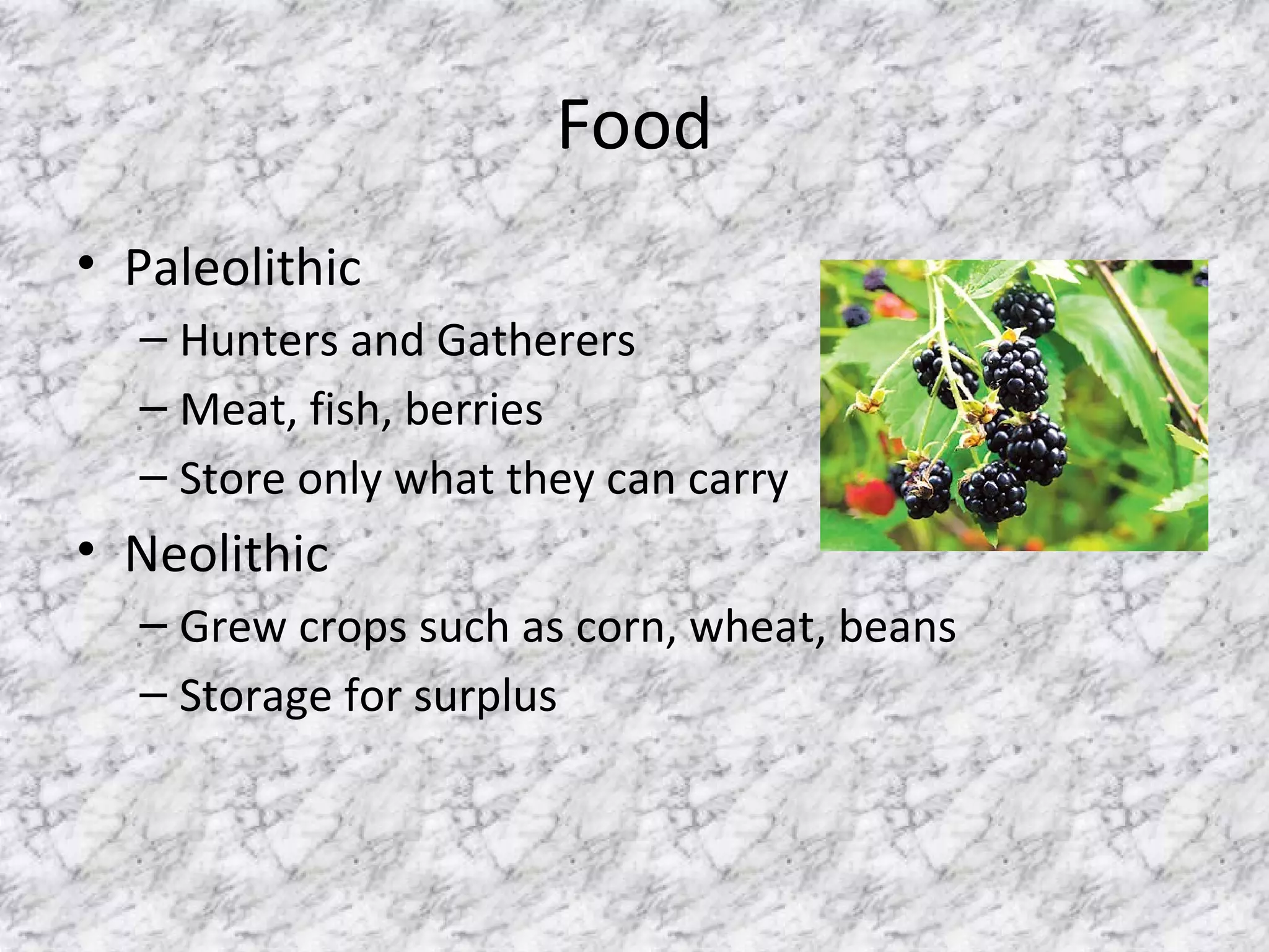 Paleolithic vs neolithic age | ODP