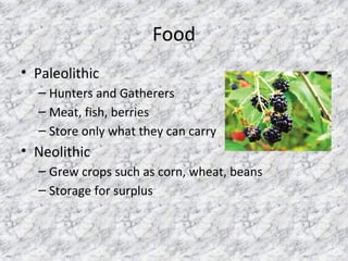 Paleolithic vs neolithic age | ODP | Geology | Science