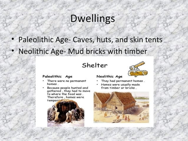 Paleolithic vs neolithic age | ODP | Geology | Science