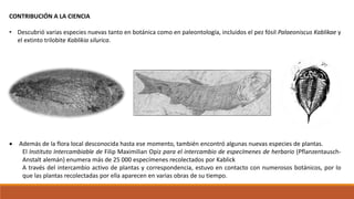Paleontologas pioneras | PPTX