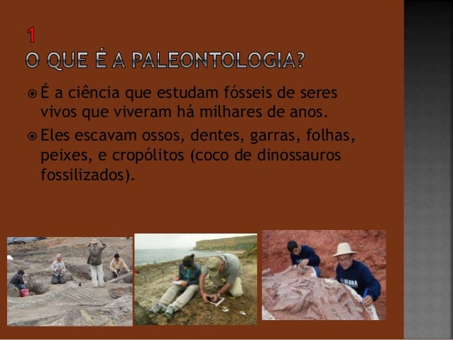Tudo Sobre A Paleontologia