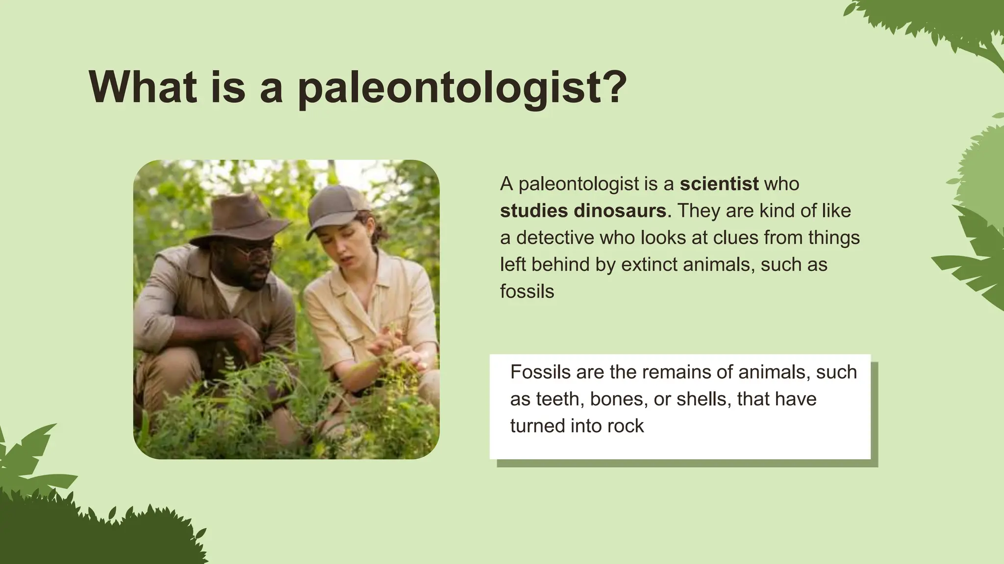 paleontology-101-what-is-a-dinosaur.pptx