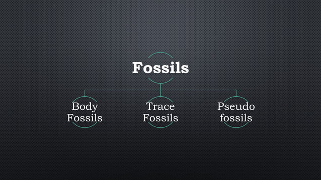 Paleontology Introduction types of fossils.pptx
