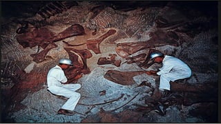 Paleontology Introduction types of fossils.pptx