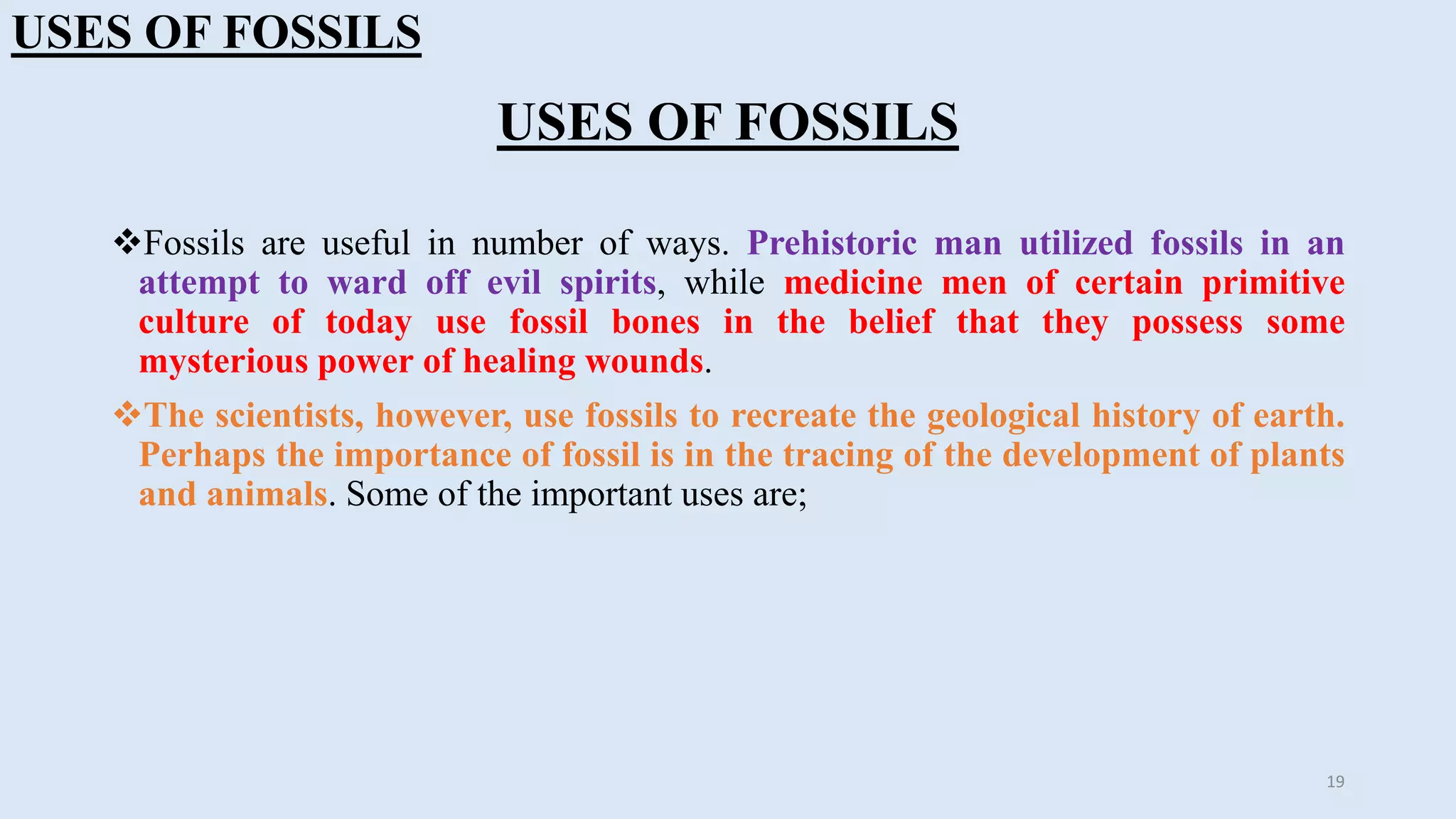 Paleontology, types & uses of fossils | PDF | Geology | Science