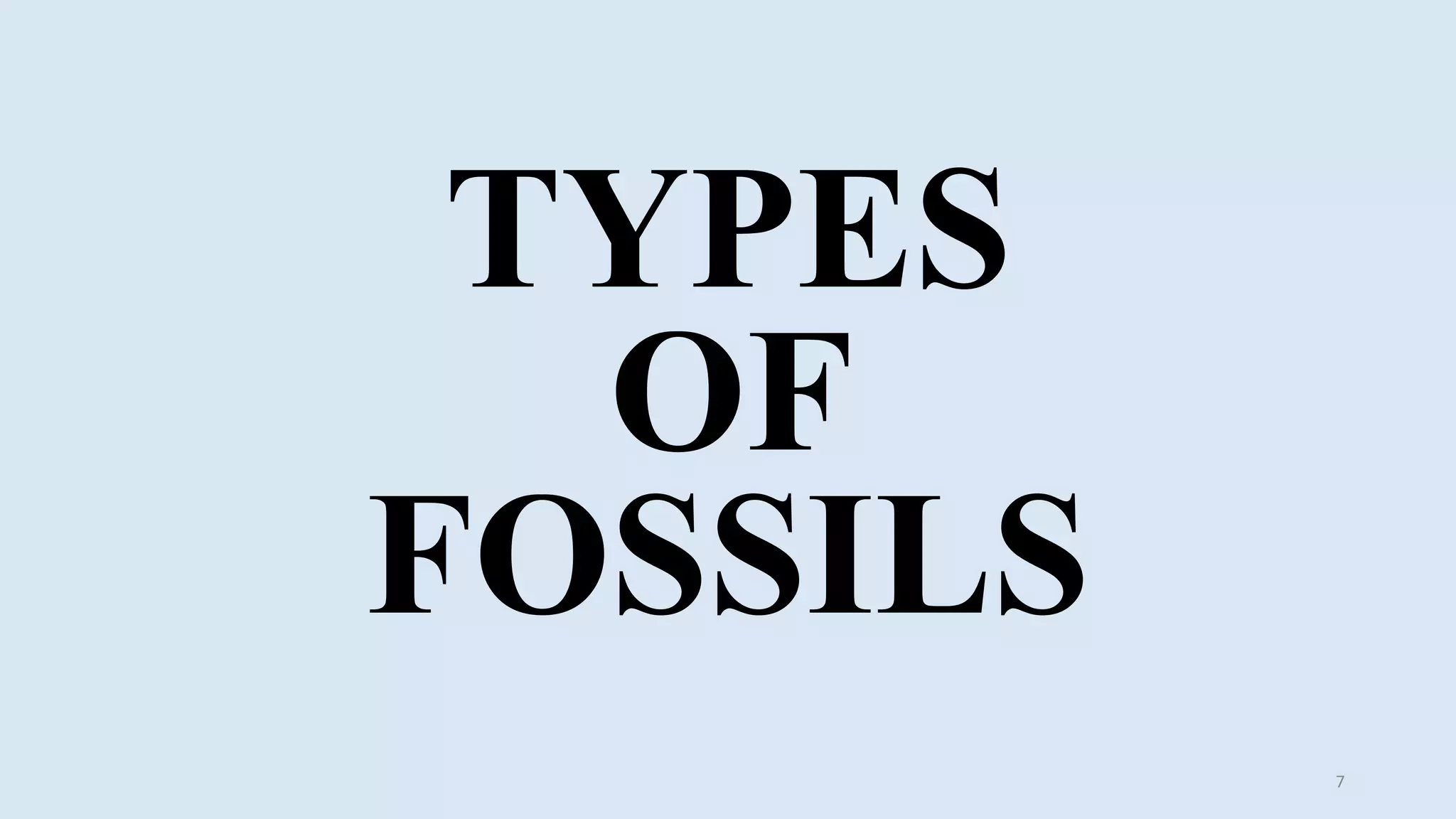 Paleontology, types & uses of fossils | PDF