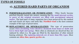 Paleontology, types & uses of fossils | PDF