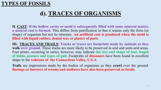 Paleontology, types & uses of fossils | PDF