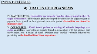 Paleontology, types & uses of fossils | PDF