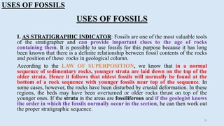 Paleontology, types & uses of fossils | PDF