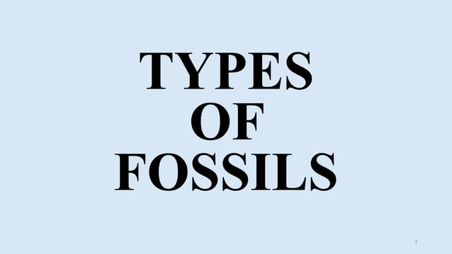 Paleontology, types & uses of fossils | PDF | Geology | Science