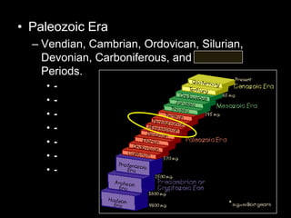 Paleozoic Era Timeline