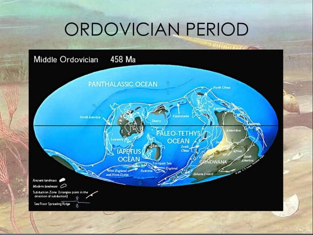 Paleozoic Era | PPT | Geology | Science
