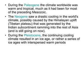 Paleozoic era cenozoic-Geomorhology Chapter | PPT