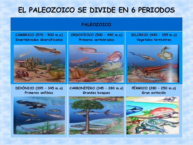 Eras Geológicas : Paleozoica