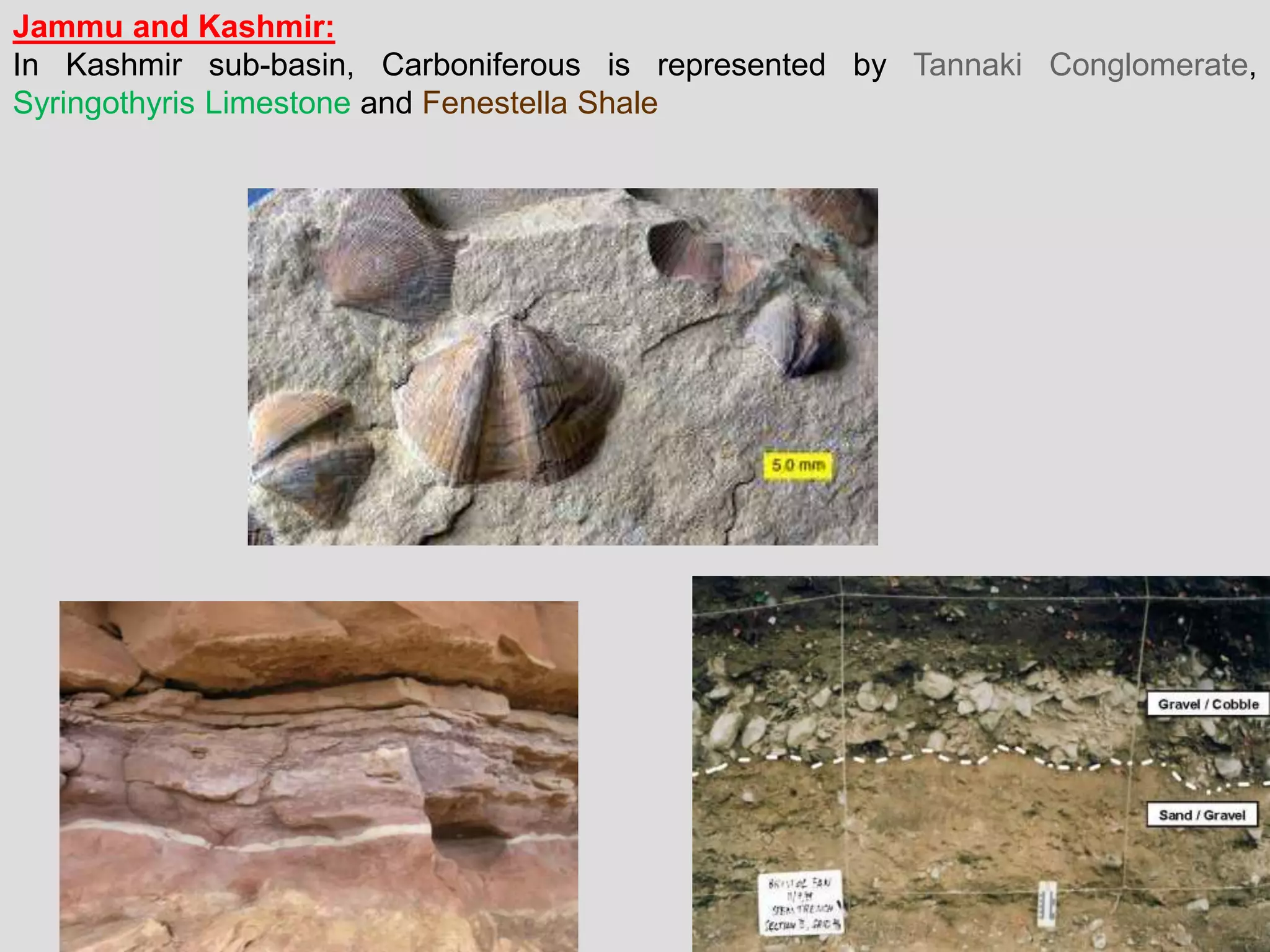 Paleozoic stratigraphy | PPT