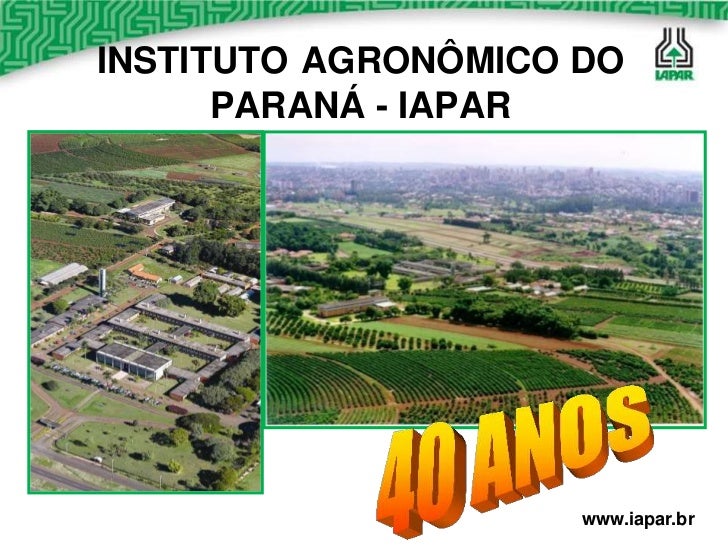 Palestra Florindo Dalberto - IAPAR - Agrocafe 2012