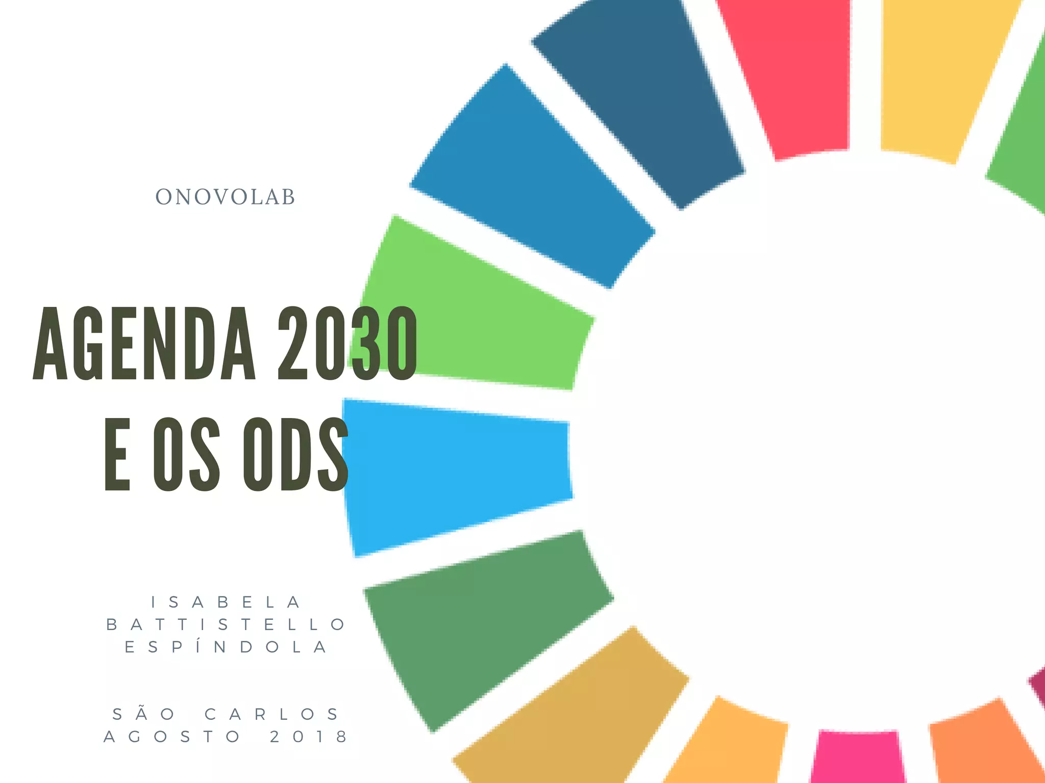 Agenda 2030 e os ODS | PDF