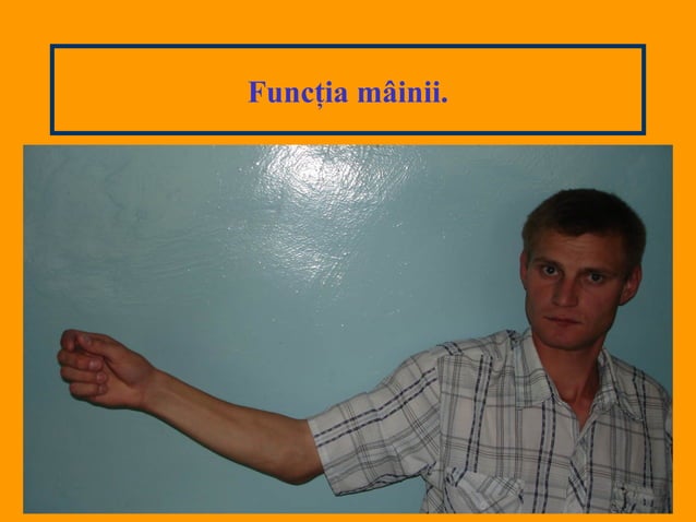 Paleta humerala-2008 Clasificare_1-2.ppt