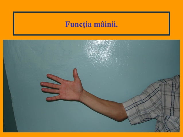 Paleta humerala-2008 Clasificare_1-2.ppt