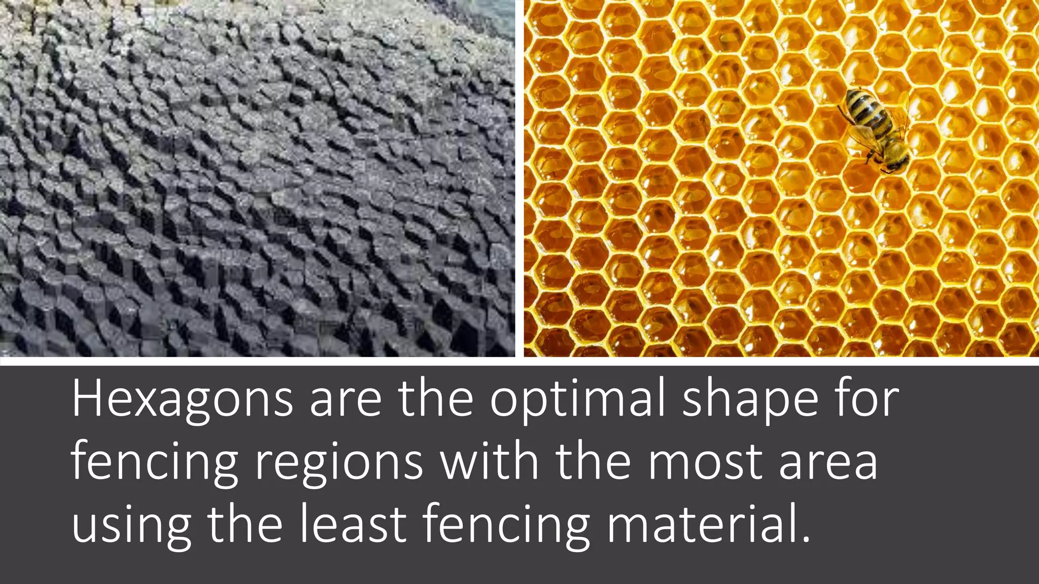 Paley's Analogy | PPTX