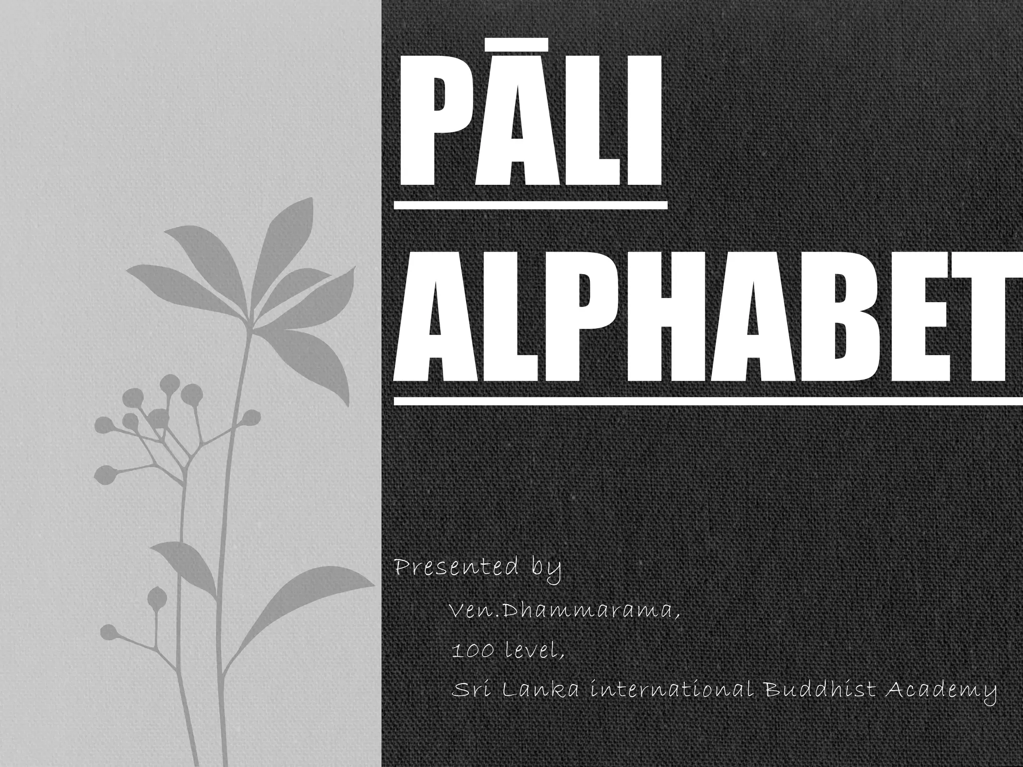 Pali alphabet | PDF