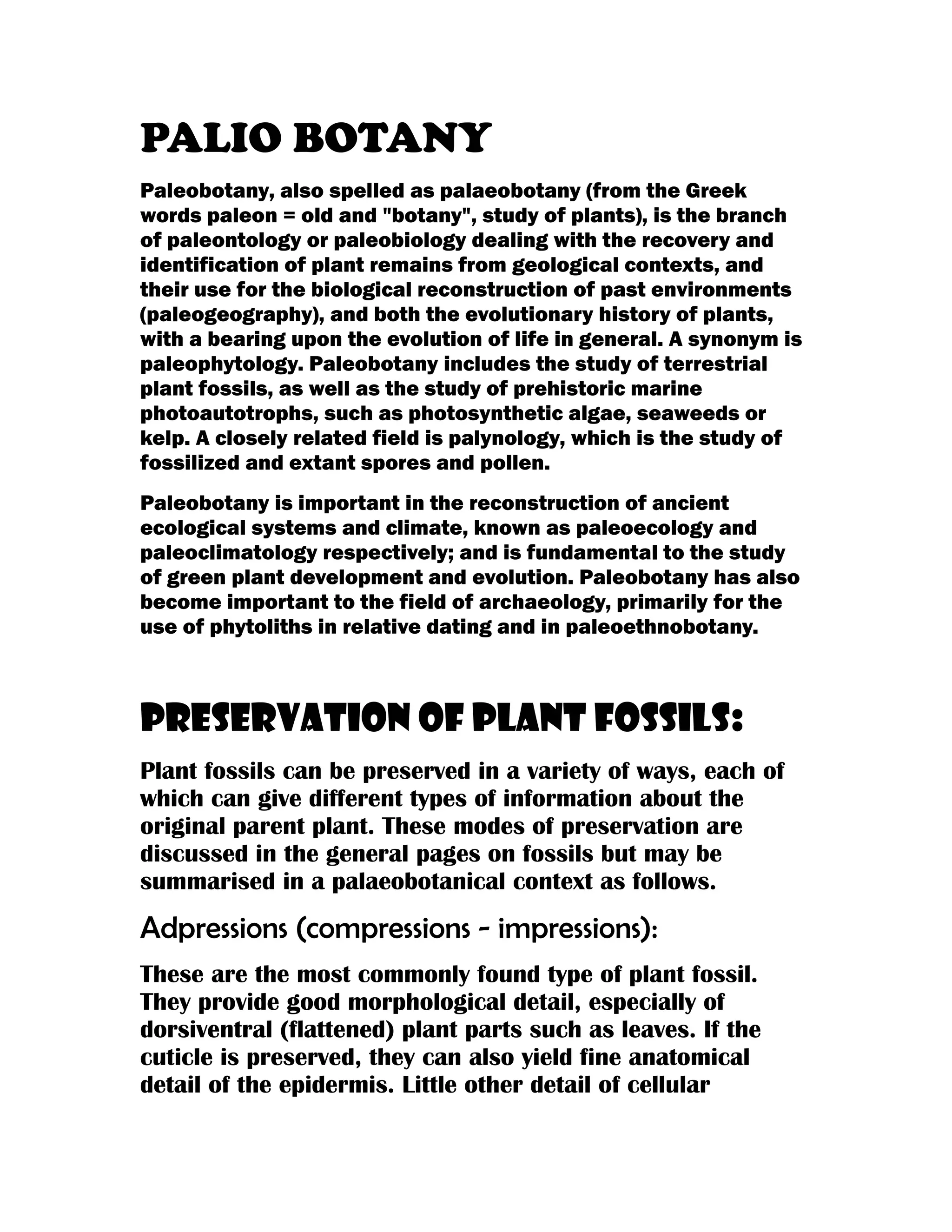 Paliobotany and pictures | RTF