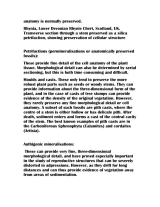 Palaeobotany and pictures | PDF