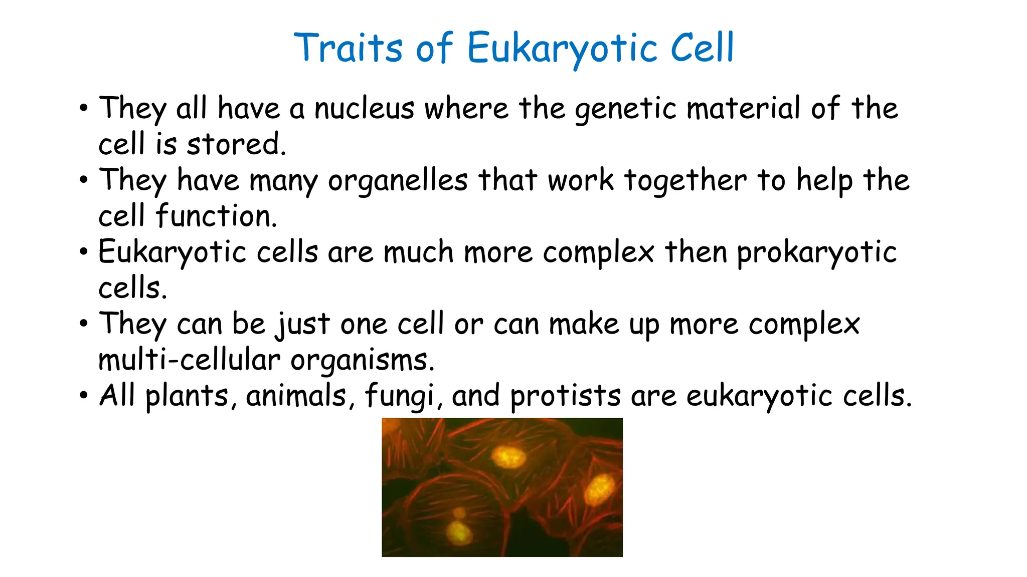 Structure of Prokaryotic and Eukaryotic cells Cells.ppt